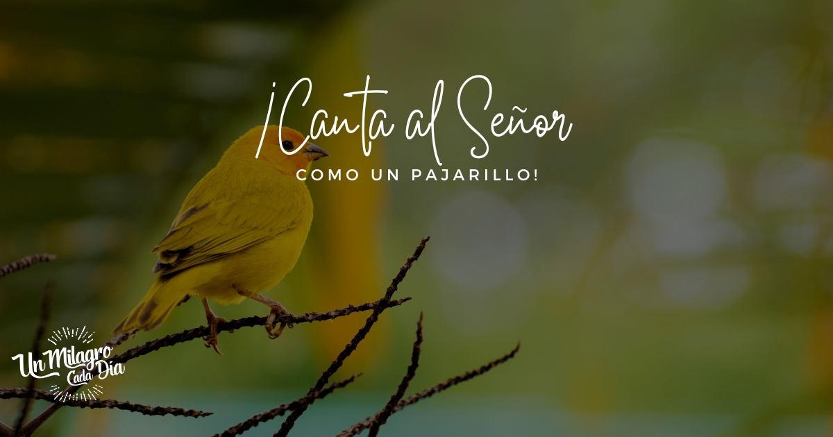 🤲🏽 Dios cuida de ti - es.Jesus.net