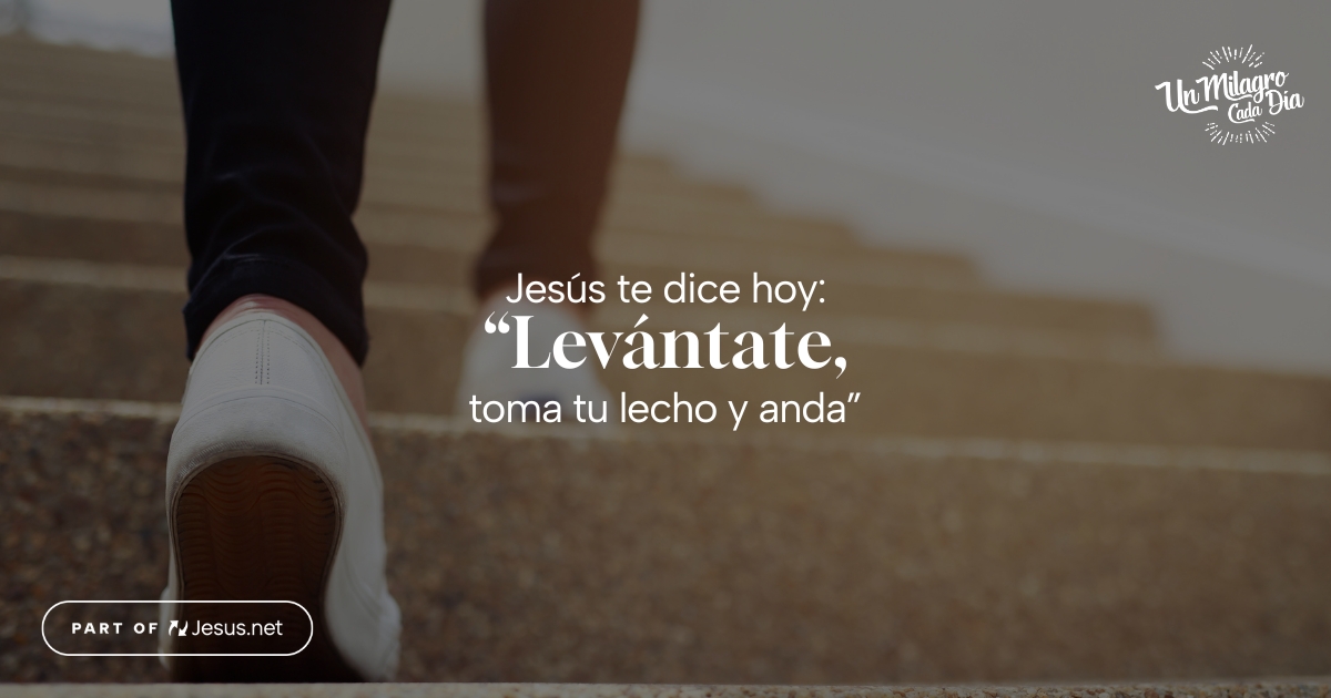 🏃🏻 Levántate y Anda - es.Jesus.net