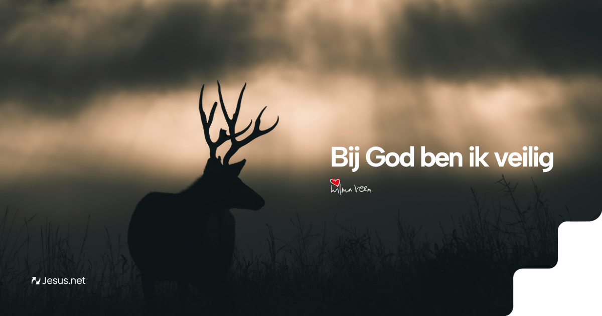 Zon, zee en strand 🏖️ - Jesus.net