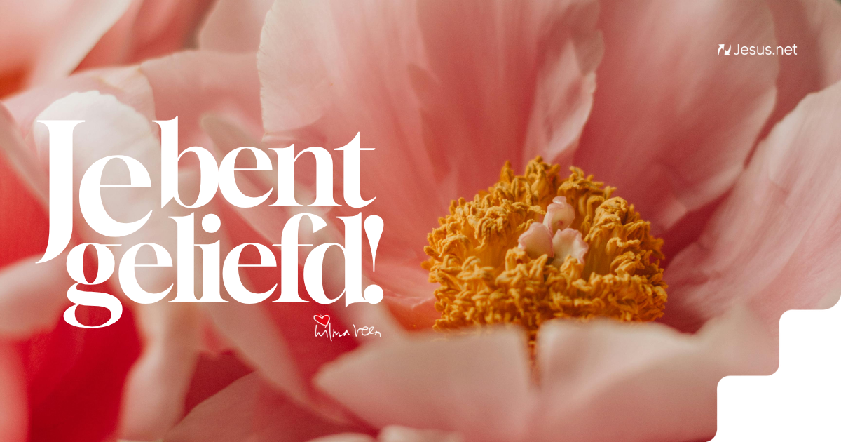 Het is jouw fout! - Jesus.net