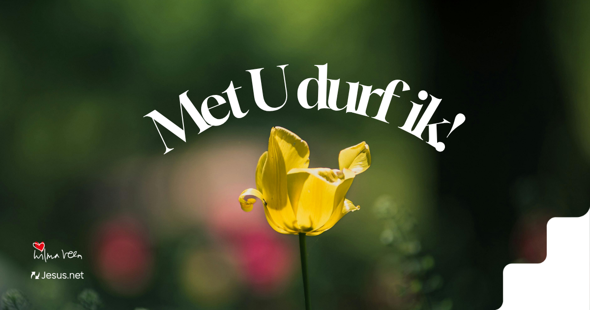 Wat moet je kunnen om dapper te zijn? - Jesus.net