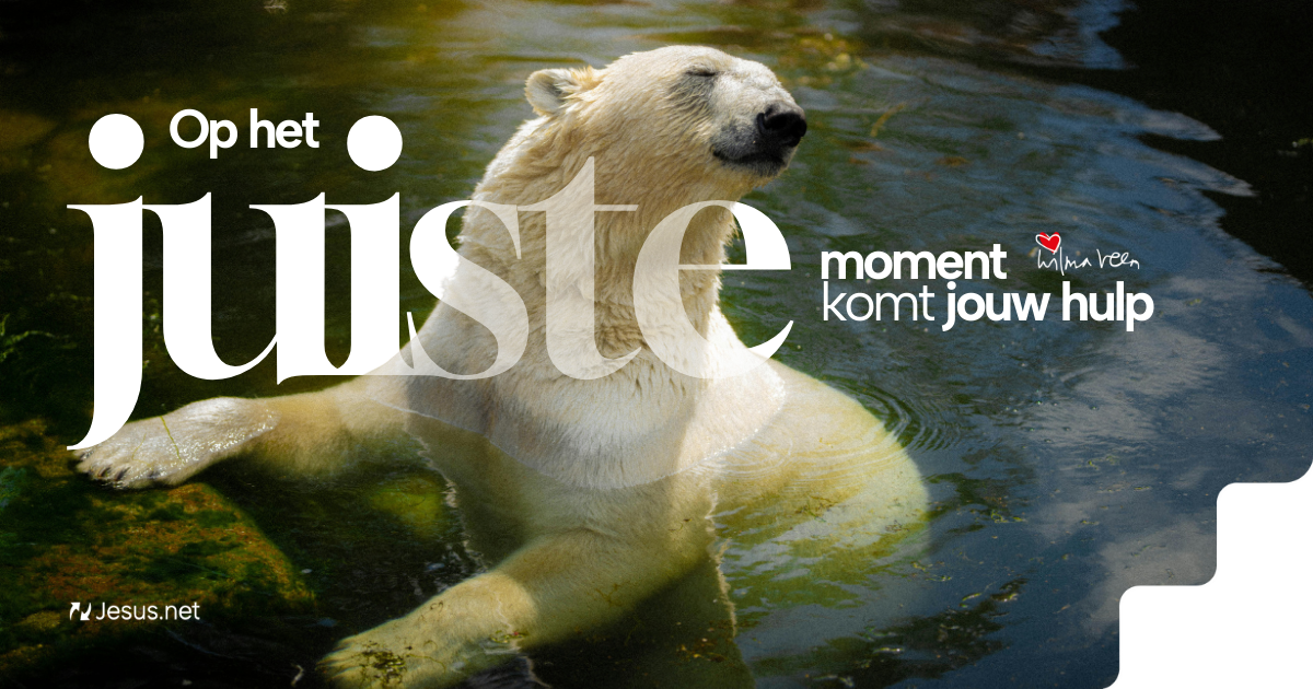 God is trouw aan Zijn belofte - Jesus.net