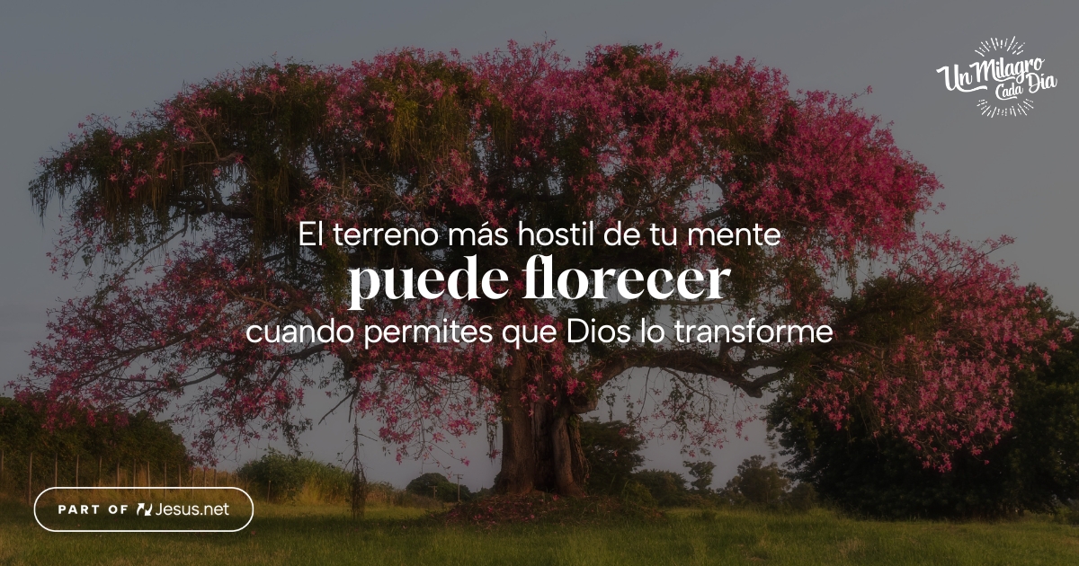 🧠 Renovando la mente cada día - es.Jesus.net