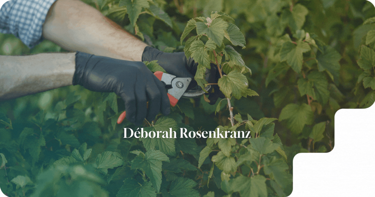 Is God cutting or pruning right now? 🍇 ️🍇 - Jesus.net