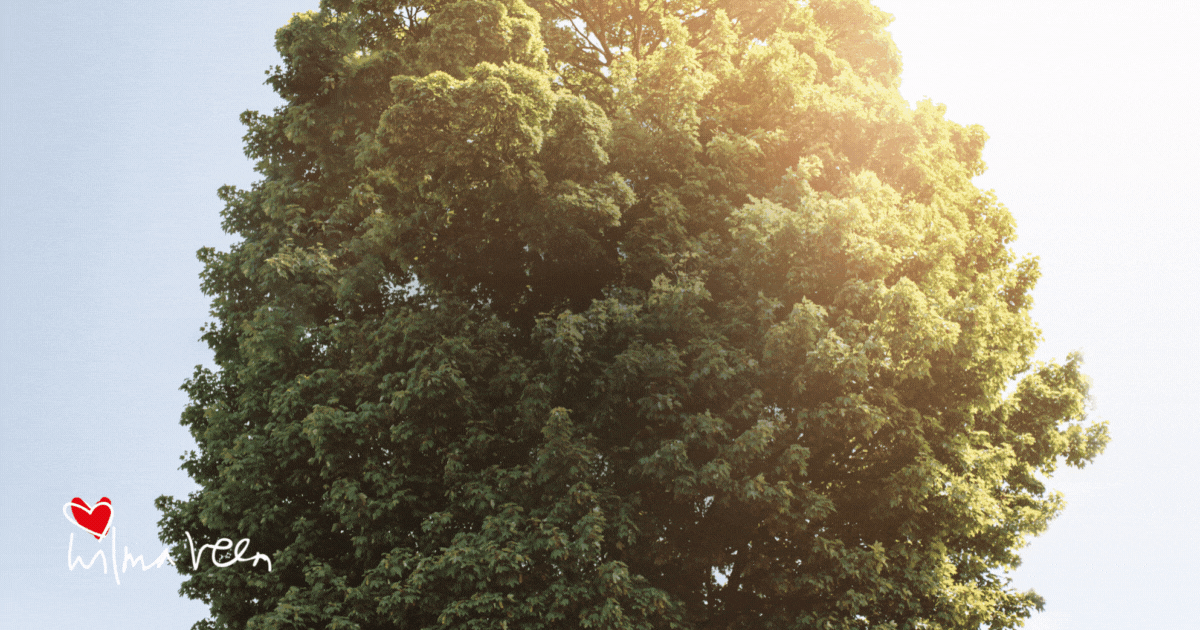 Een ongekend moment in de tijd - Jesus.net